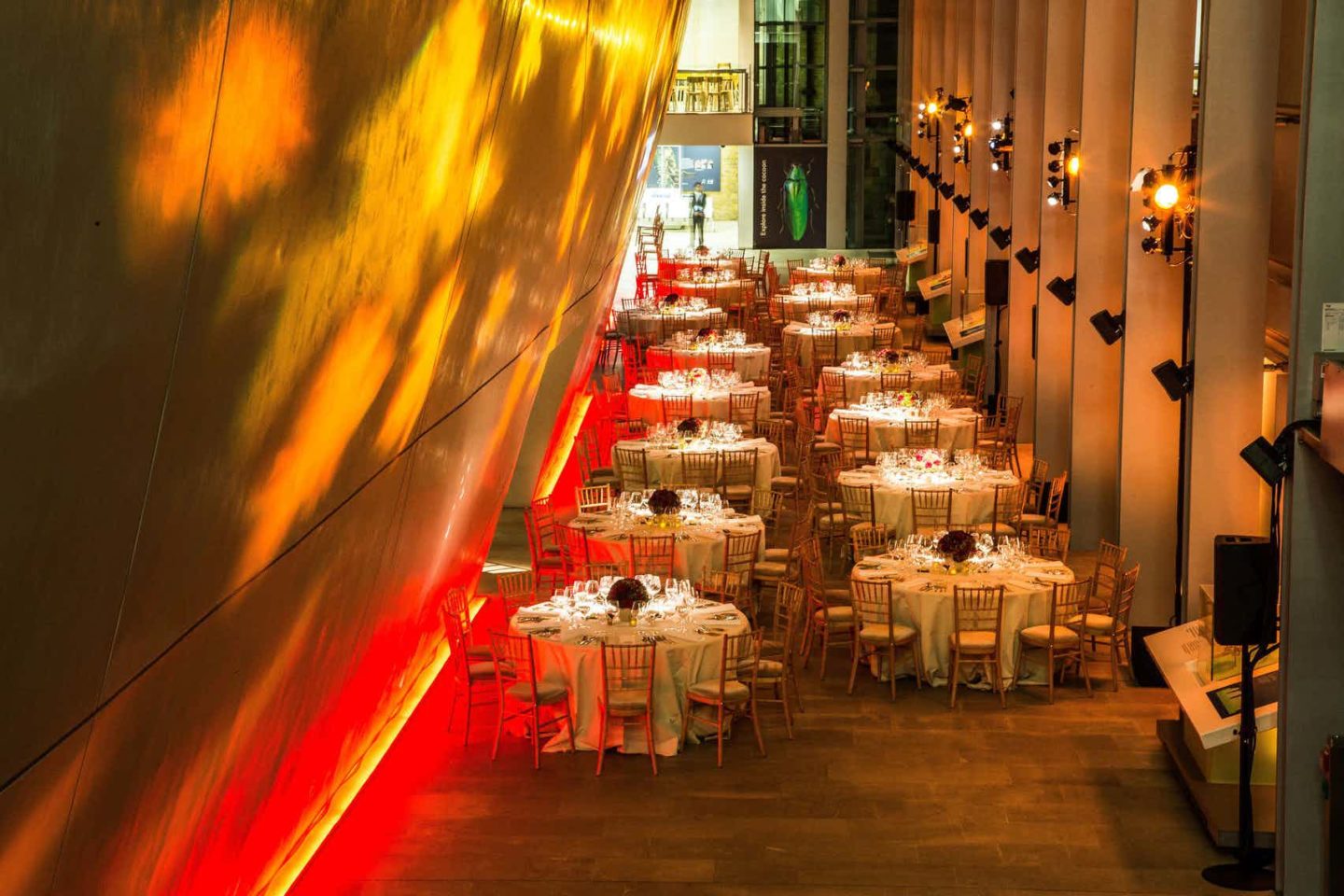 Natural History Museum Event Catering | Moving Venue