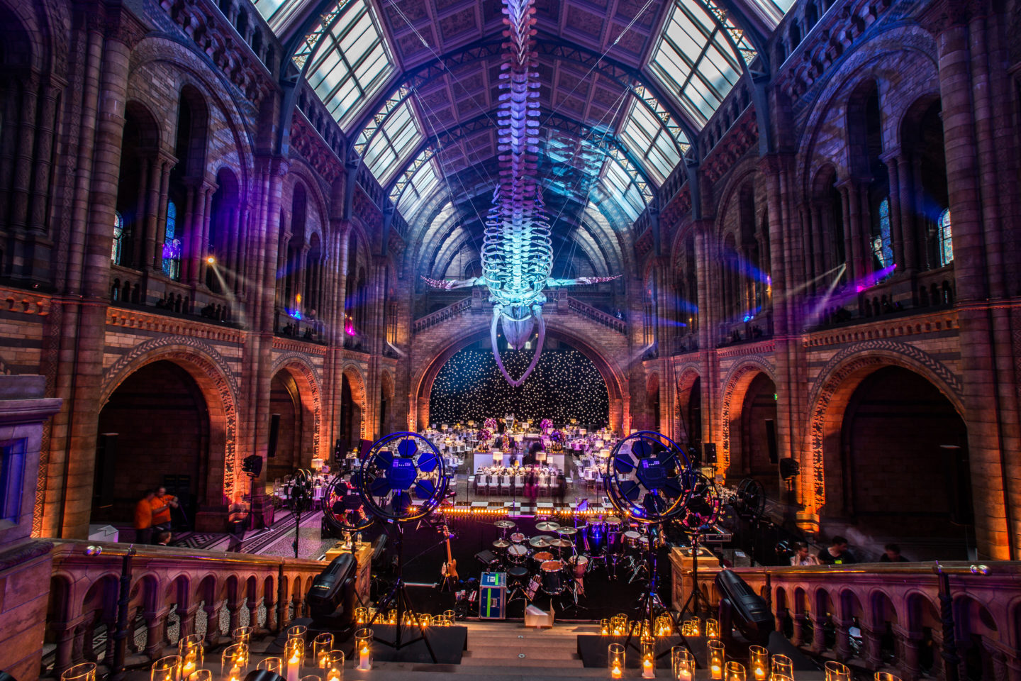 Dippy Returns! | Moving Venue